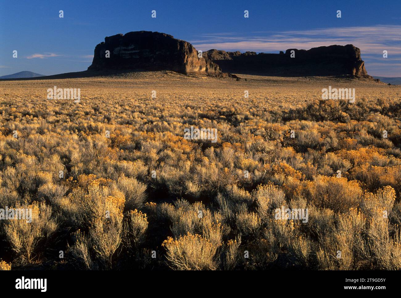 Fort Rock, Christmas Valley National Back Country Byway, Oregon Stock ...