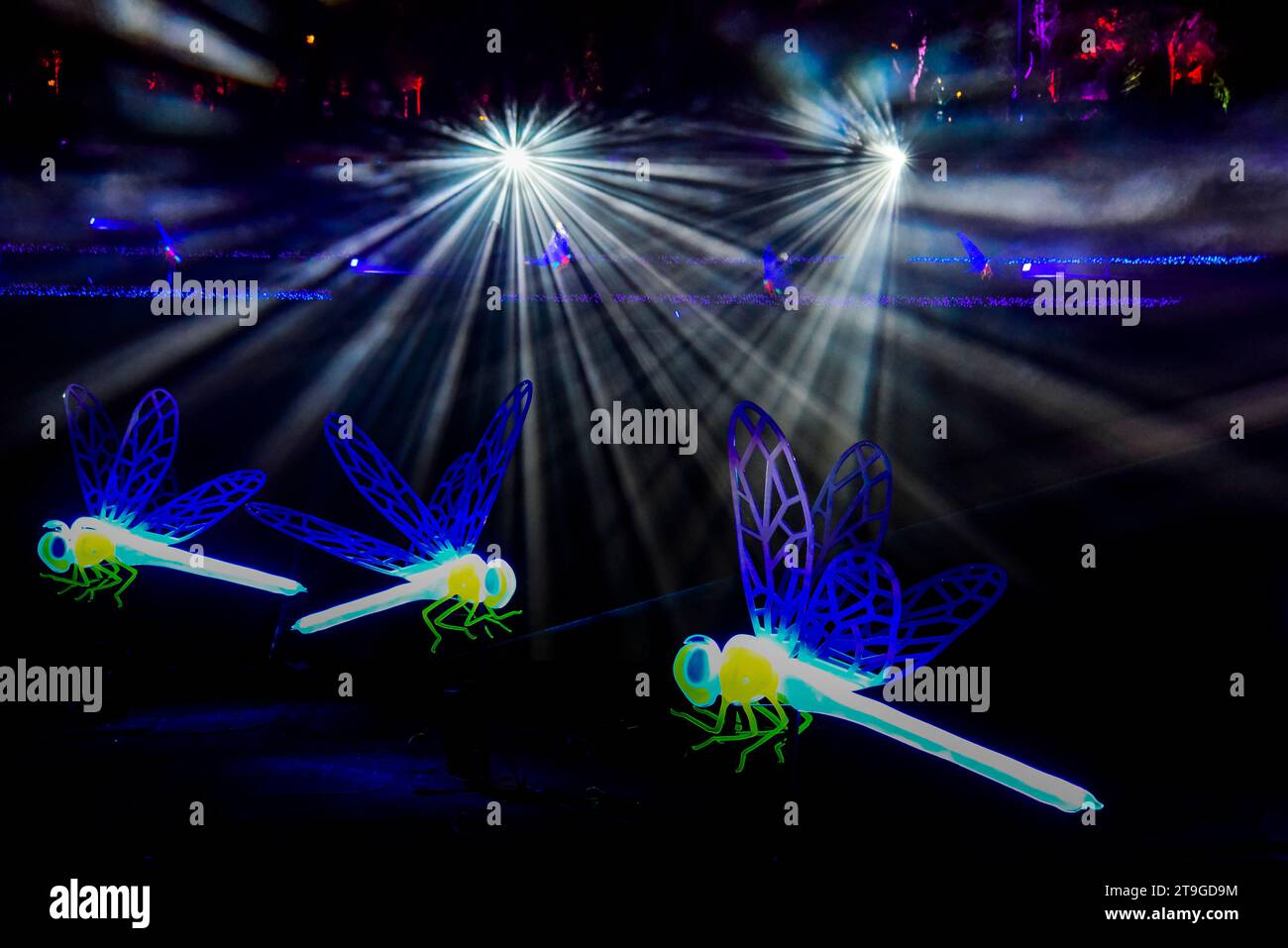 Figures of dragonflies exhibit at the Christmas period light show ...