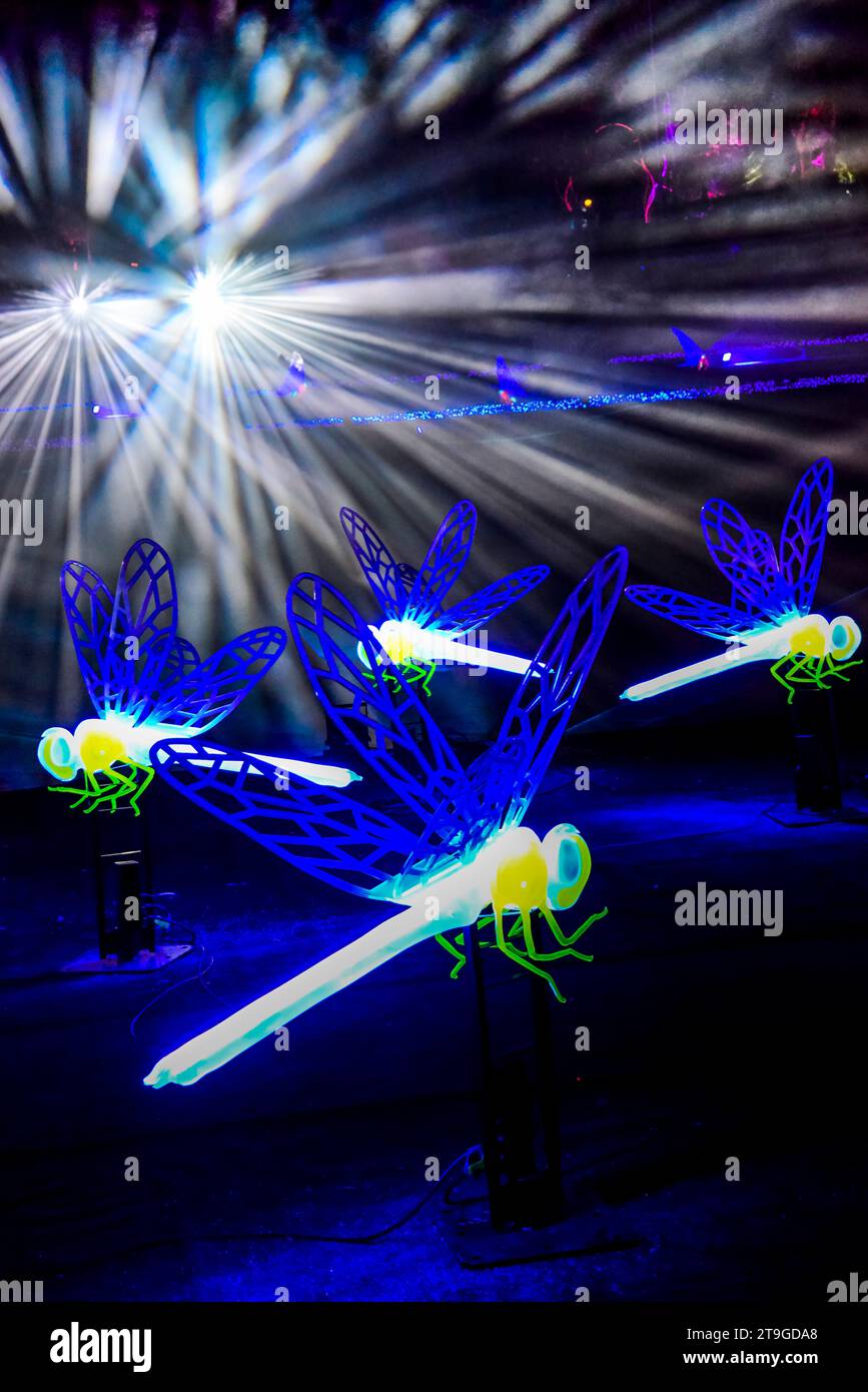 Figures of dragonflies exhibit at the Christmas period light show ...