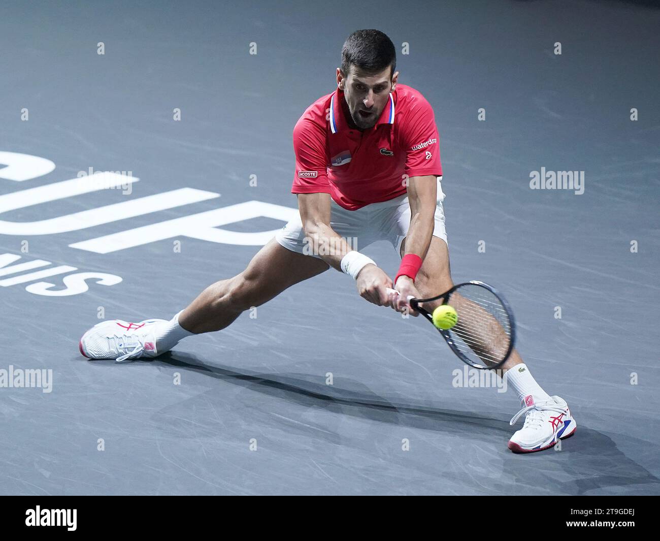 Serbia's Novak Djokovic in action against Italy's Jannik Sinner during the 2023 Davis Cup semi ...