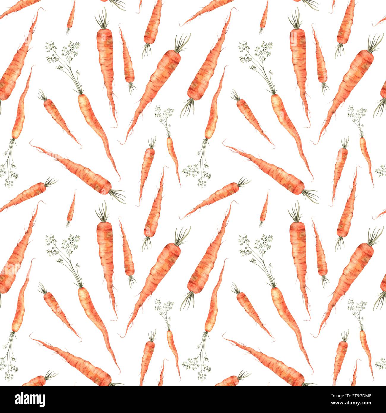 Seamless watercolor surface pattern of bright carrots with greens. Hand ...