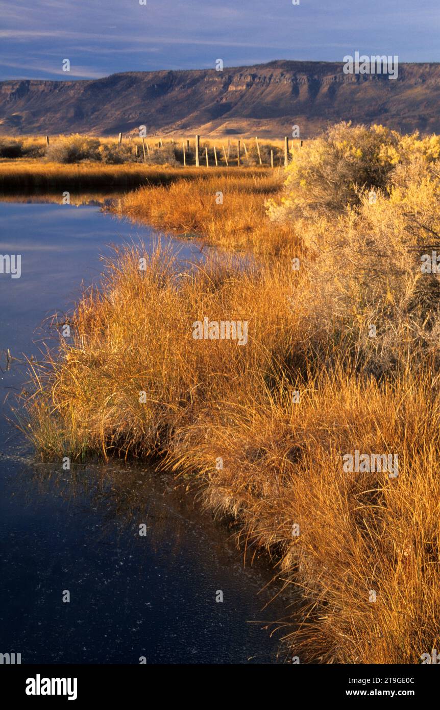 Wetland pond at River Ranch, Summer Lake Wildlife Area, Oregon Stock ...