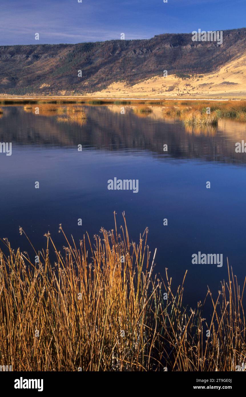 Ana river summer lake wildlife hi-res stock photography and images - Alamy
