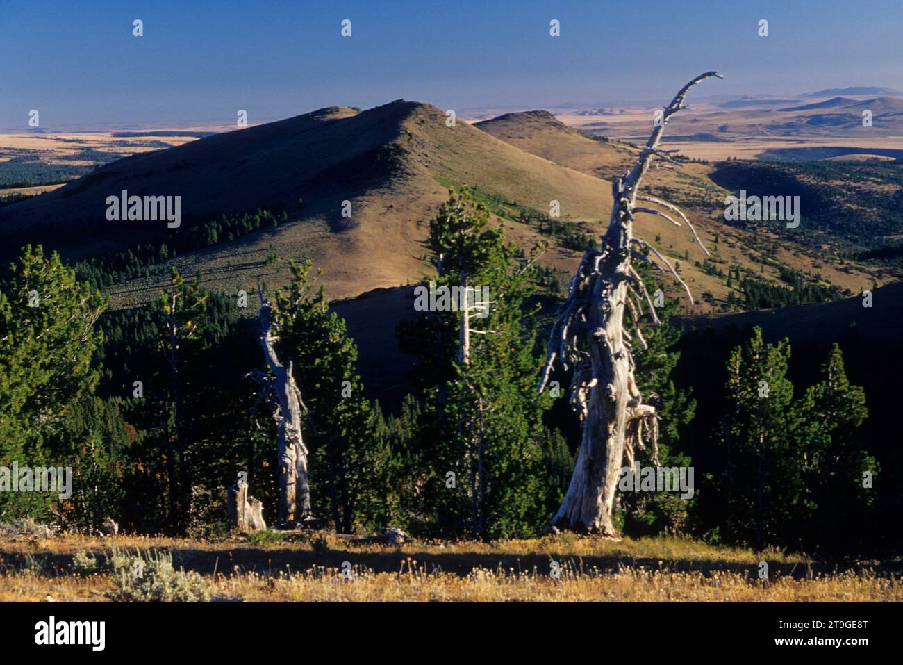 View from Drake Peak Lookout, Fremont National Forest, Oregon Stock ...