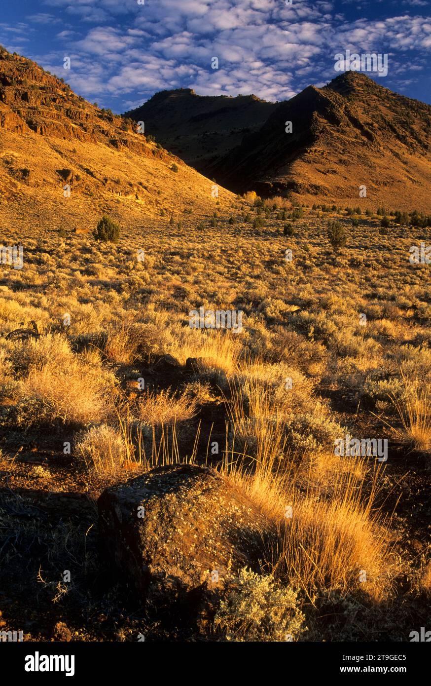 Potter Canyon mouth, Hart Mountain National Antelope Refuge, Oregon ...