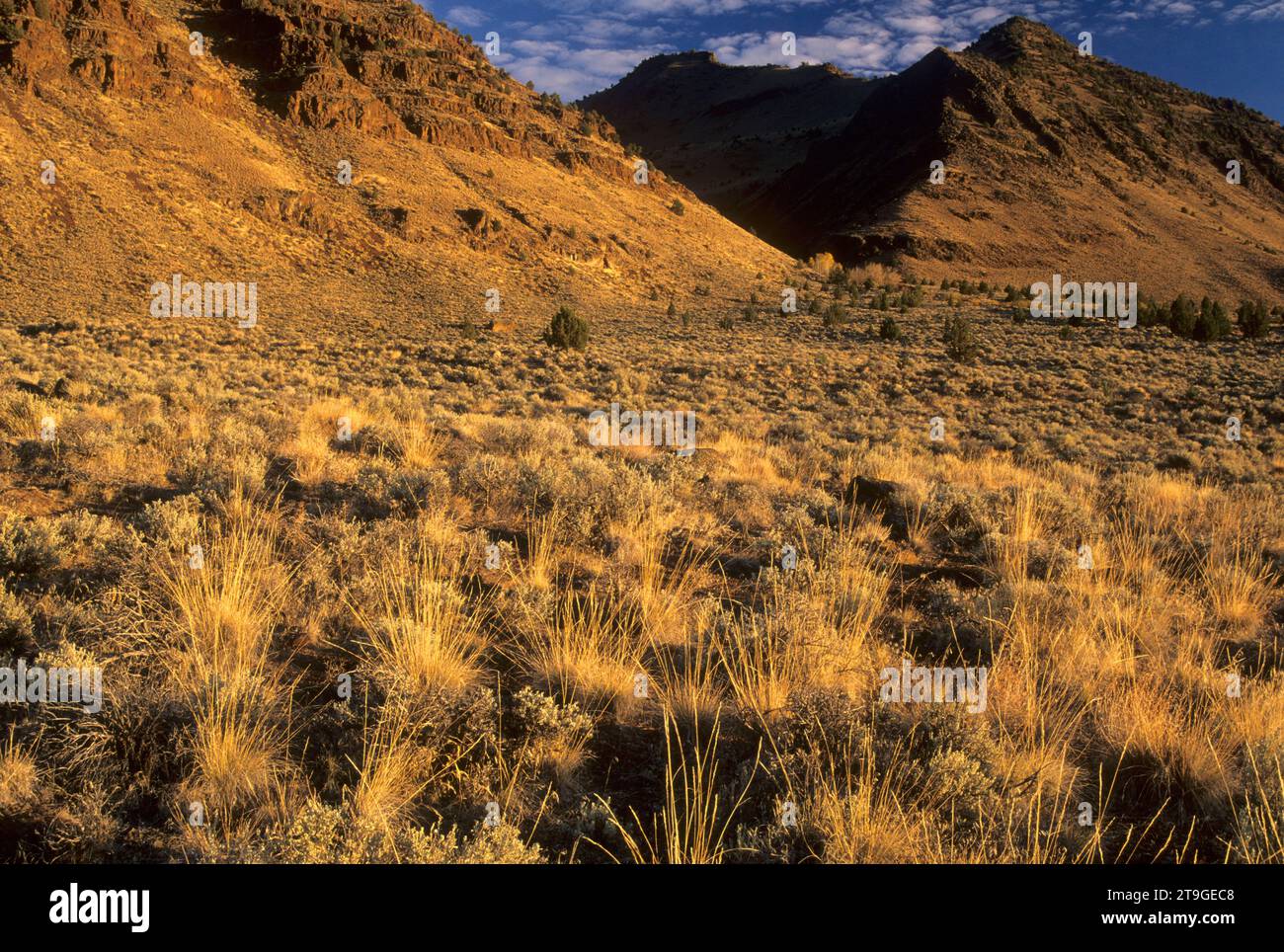 Potter Canyon mouth, Hart Mountain National Antelope Refuge, Oregon ...