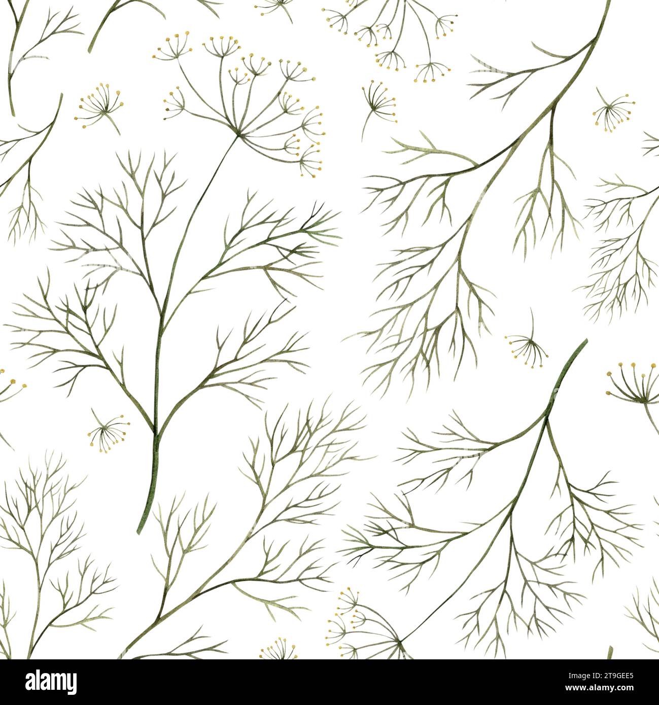Seamless watercolor surface pattern of green spicy dill. Hand drawn ...