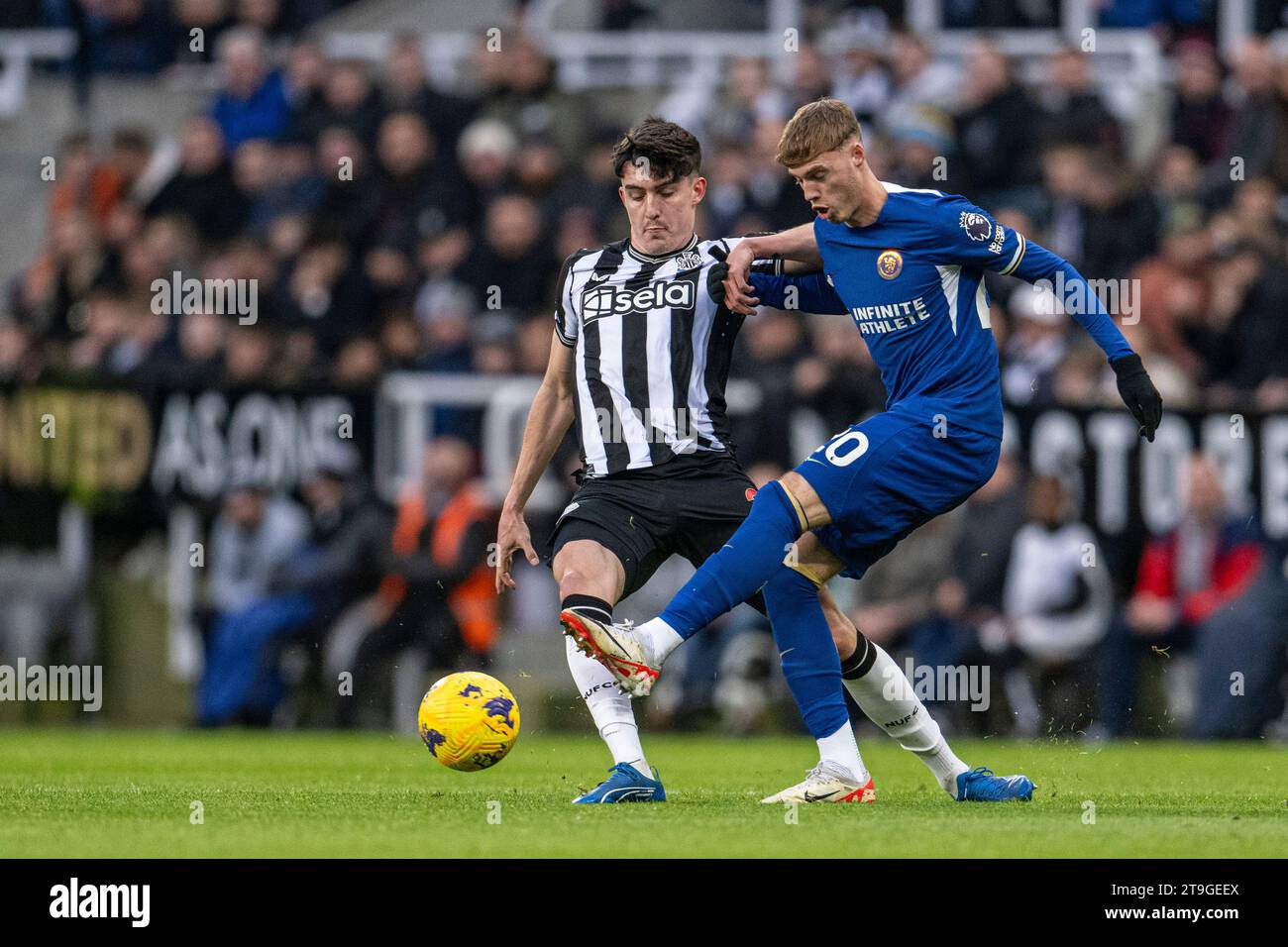 Livramento chelsea hi-res stock photography and images - Alamy