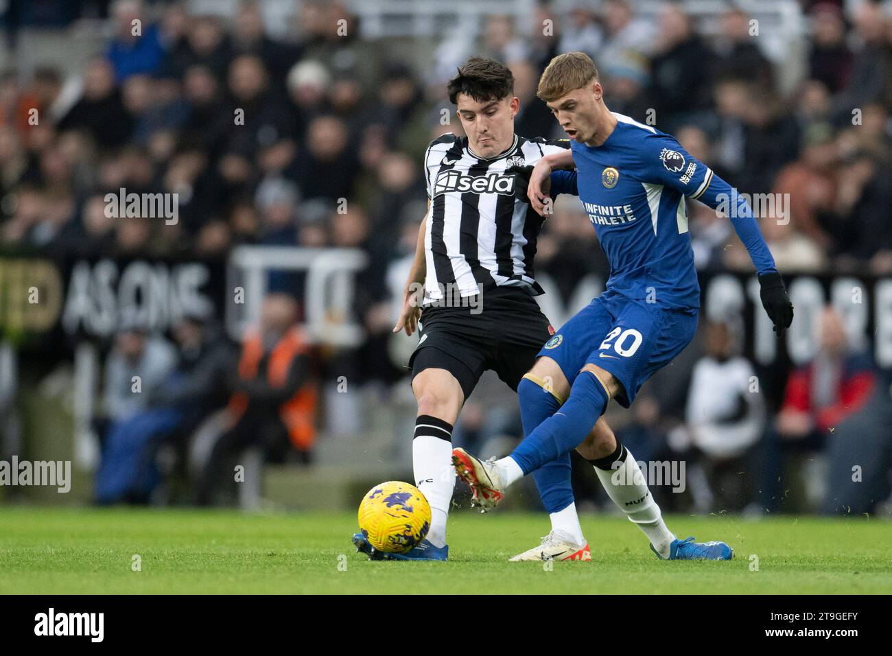 Cole palmer chelsea hi-res stock photography and images - Alamy