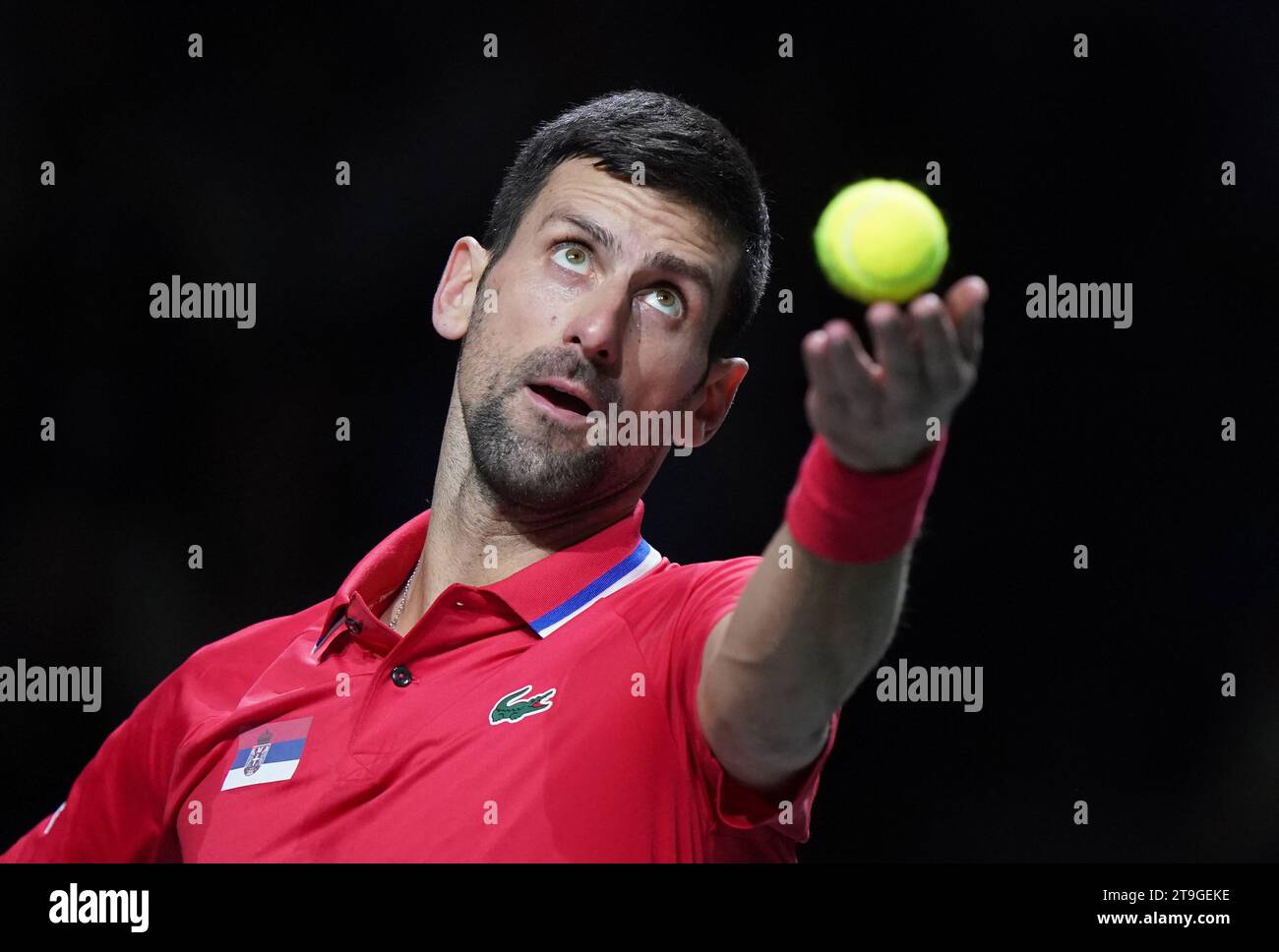 Serbia's Novak Djokovic in action against Italy's Jannik Sinner during the 2023 Davis Cup semi ...