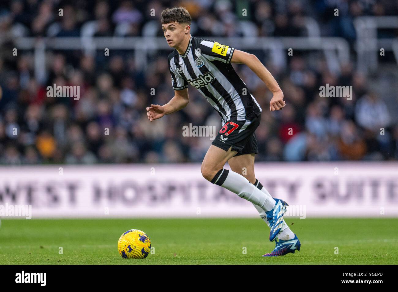 Newcastle Upon Tyne, UK. 25th Nov, 2023. St. James Park NEWCASTLE UPON ...