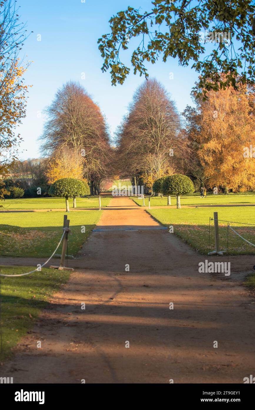 Autumn Trees in colour Stock Photo - Alamy