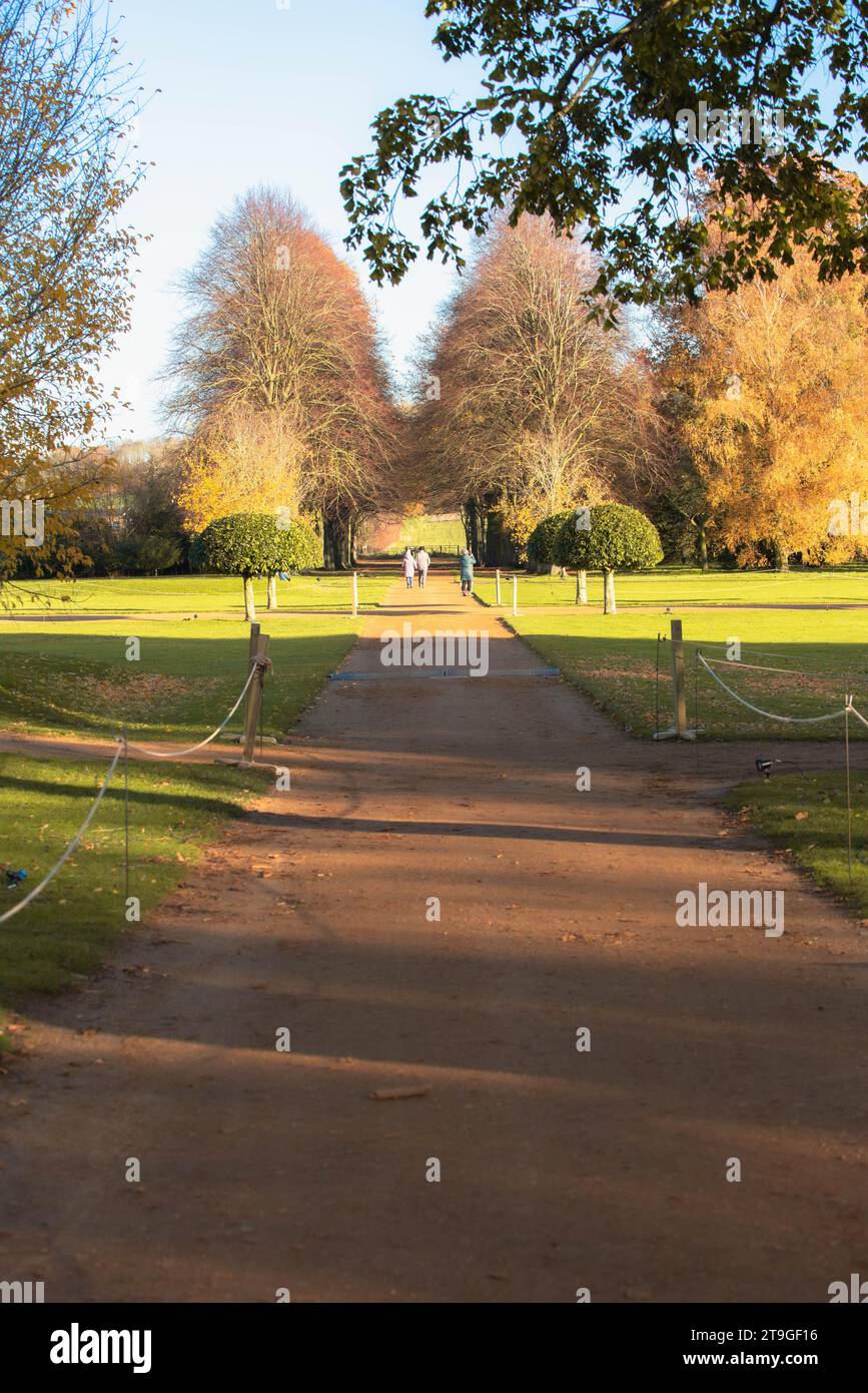 Rows trees in autumn hi-res stock photography and images - Alamy