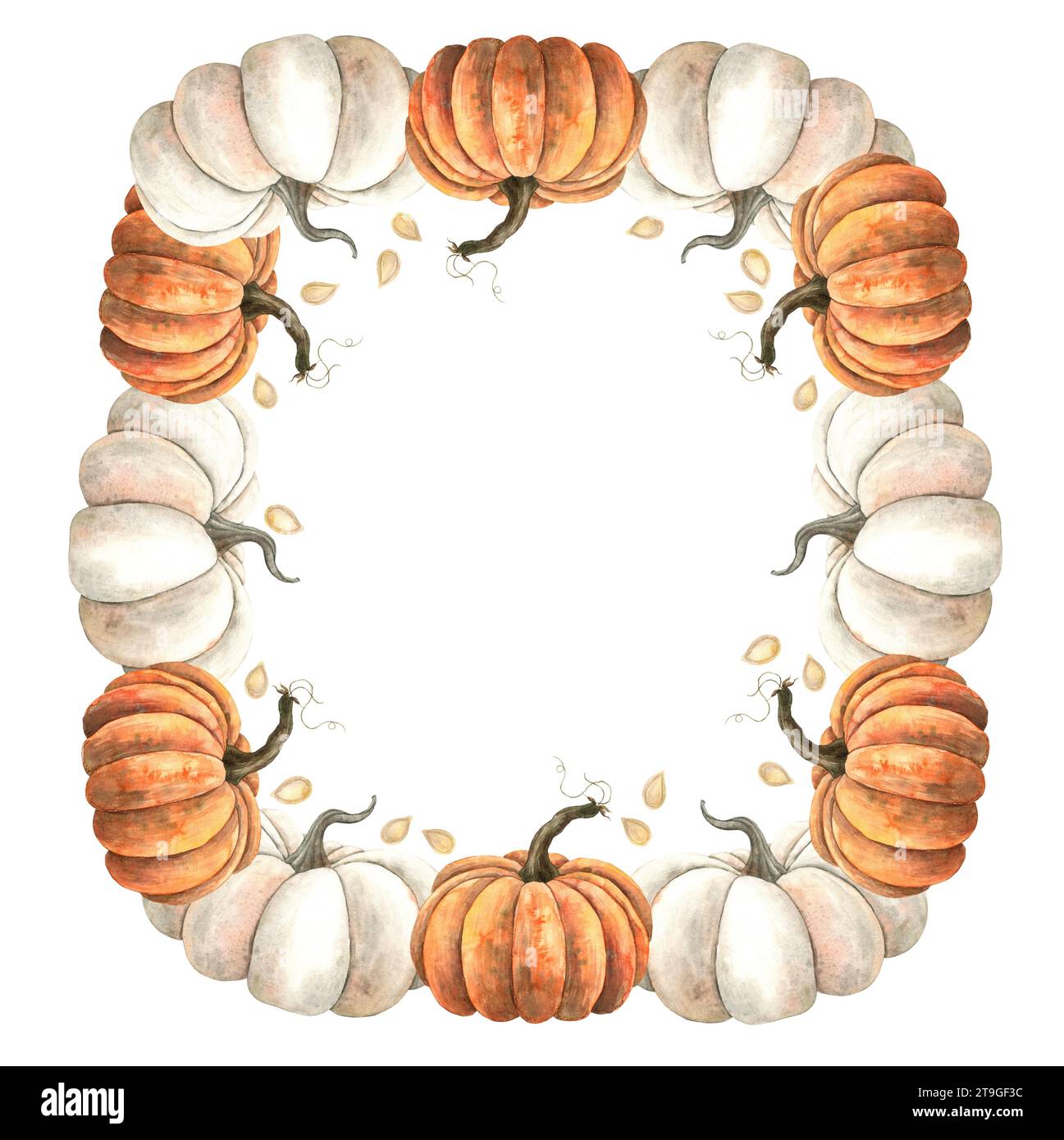Watercolor frame with white and orange pumpkin and seeds. Hand-drawn ...