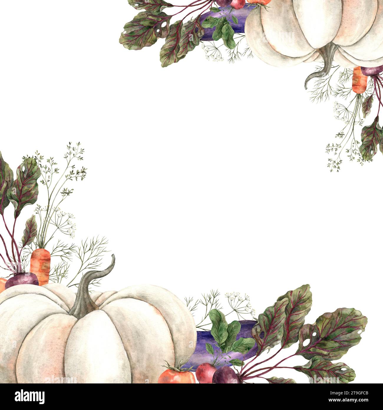 Frame, board, poster of different vegetables: pumpkin, radishes ...