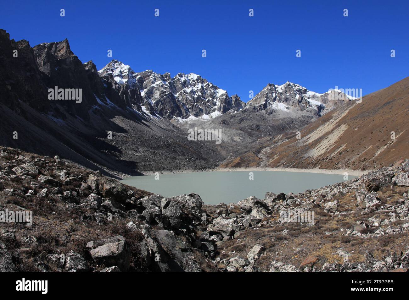 Thonak Tsho, lake in the upper Gokyo Valley, Nepal Stock Photo - Alamy