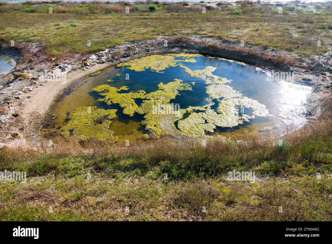 Marine science. Residual reservoirs (litoral pool) formed between ...