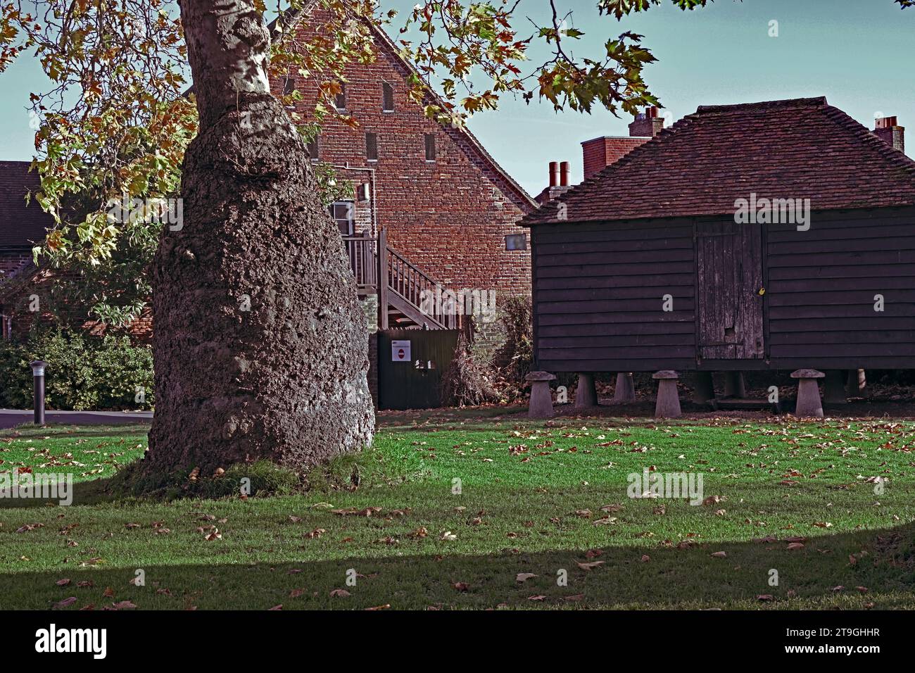 Hall Place 'A period garden scene' Stock Photo - Alamy