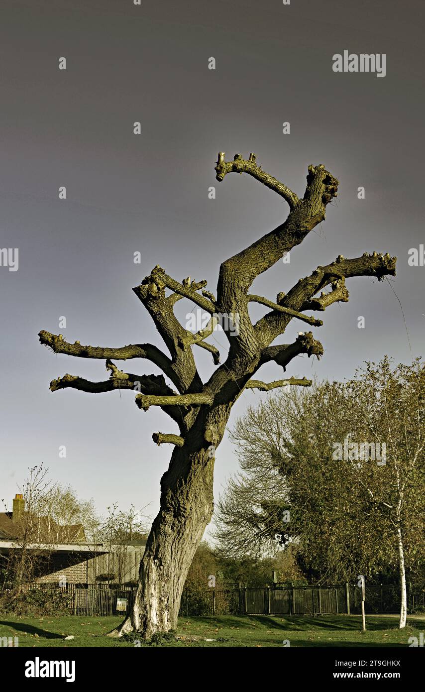 Hard shapes hi-res stock photography and images - Alamy