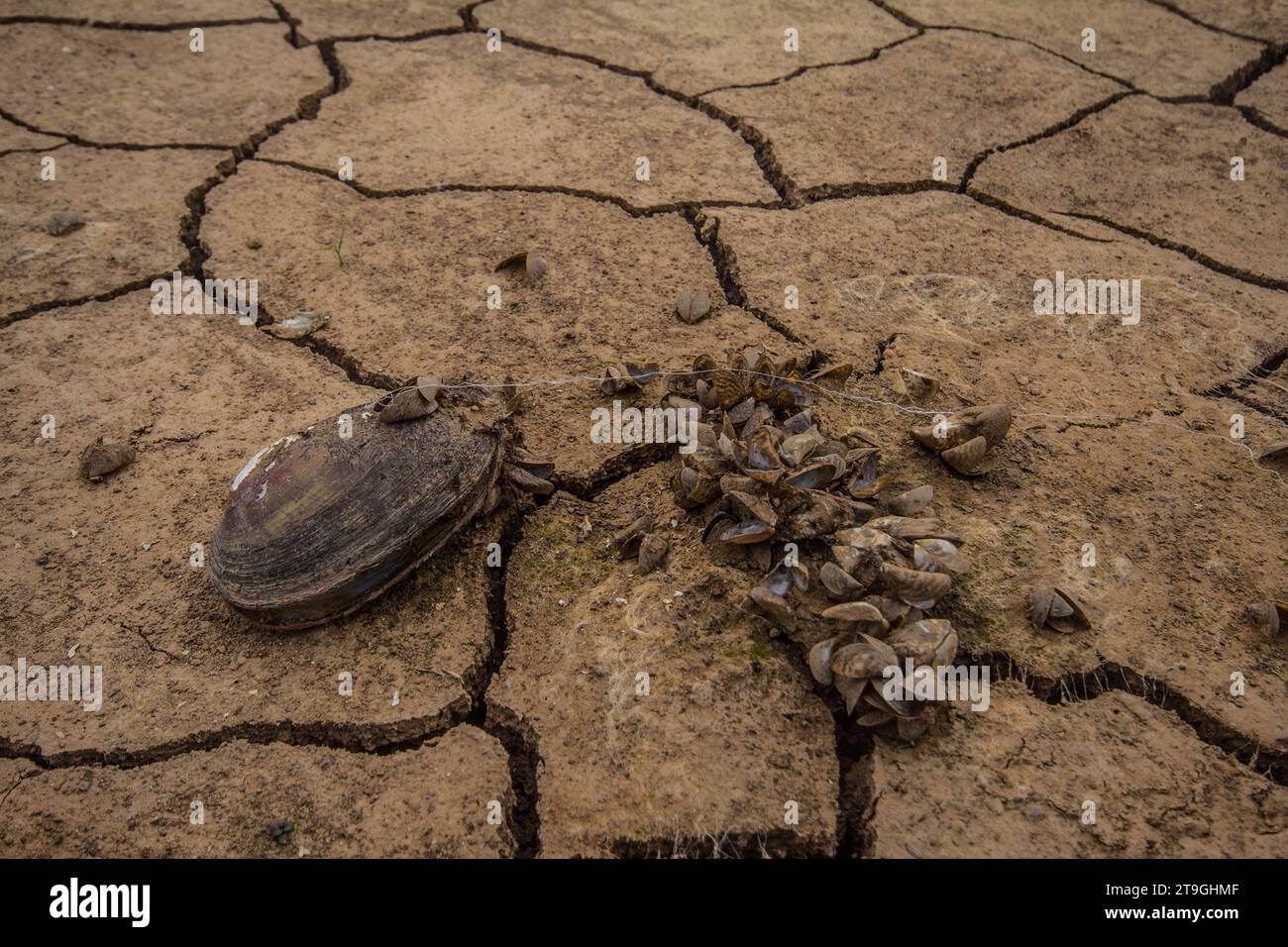 Drought. The water evaporated and the bottom of the reservoir cracked ...