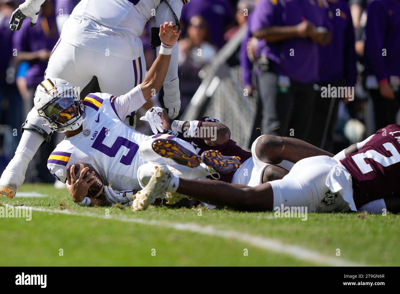 LSU quarterback Jayden Daniels (5) looks up as he is sacked by is ...