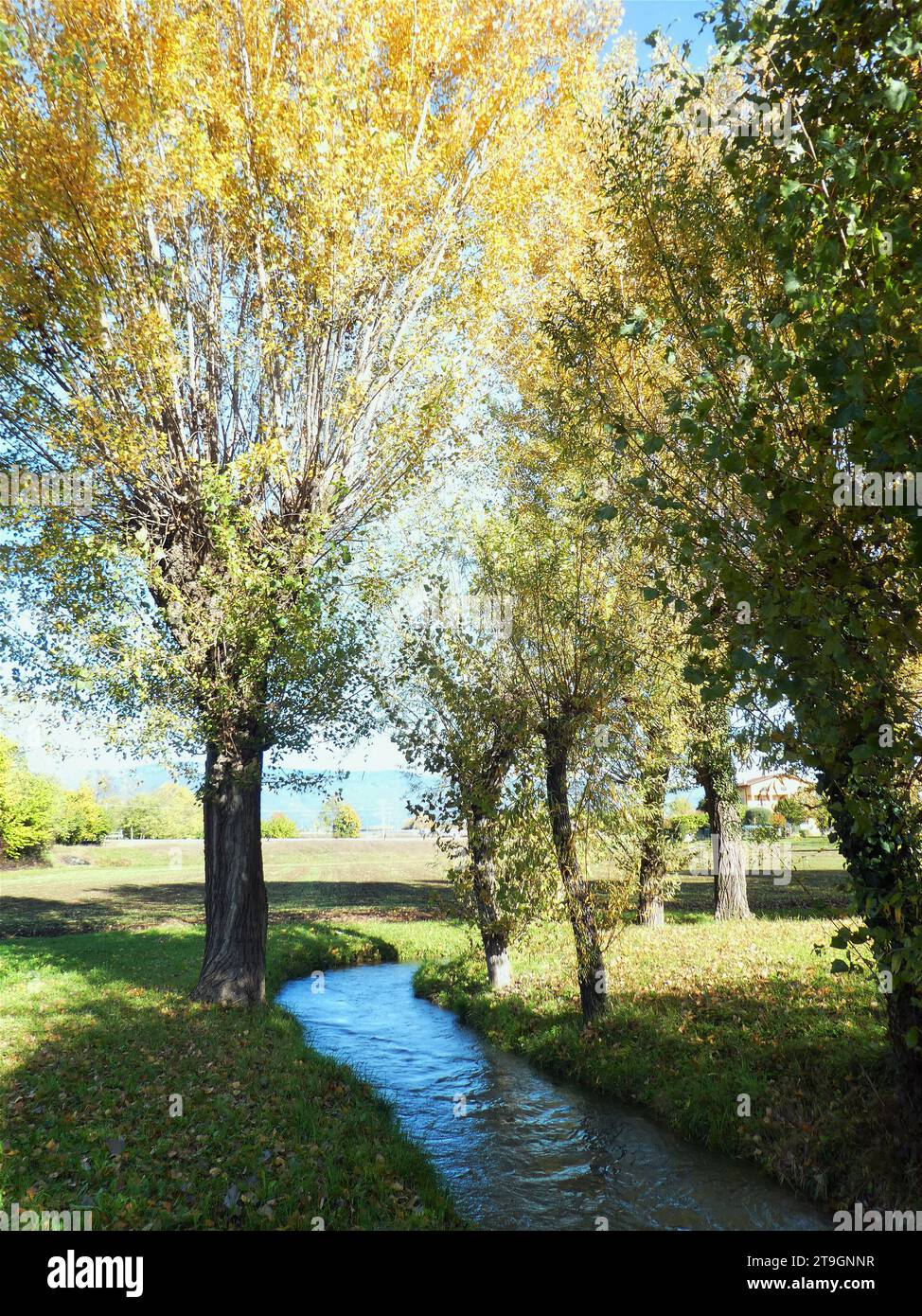 ditch with water in the middle of the meadow that flows naturally from ...