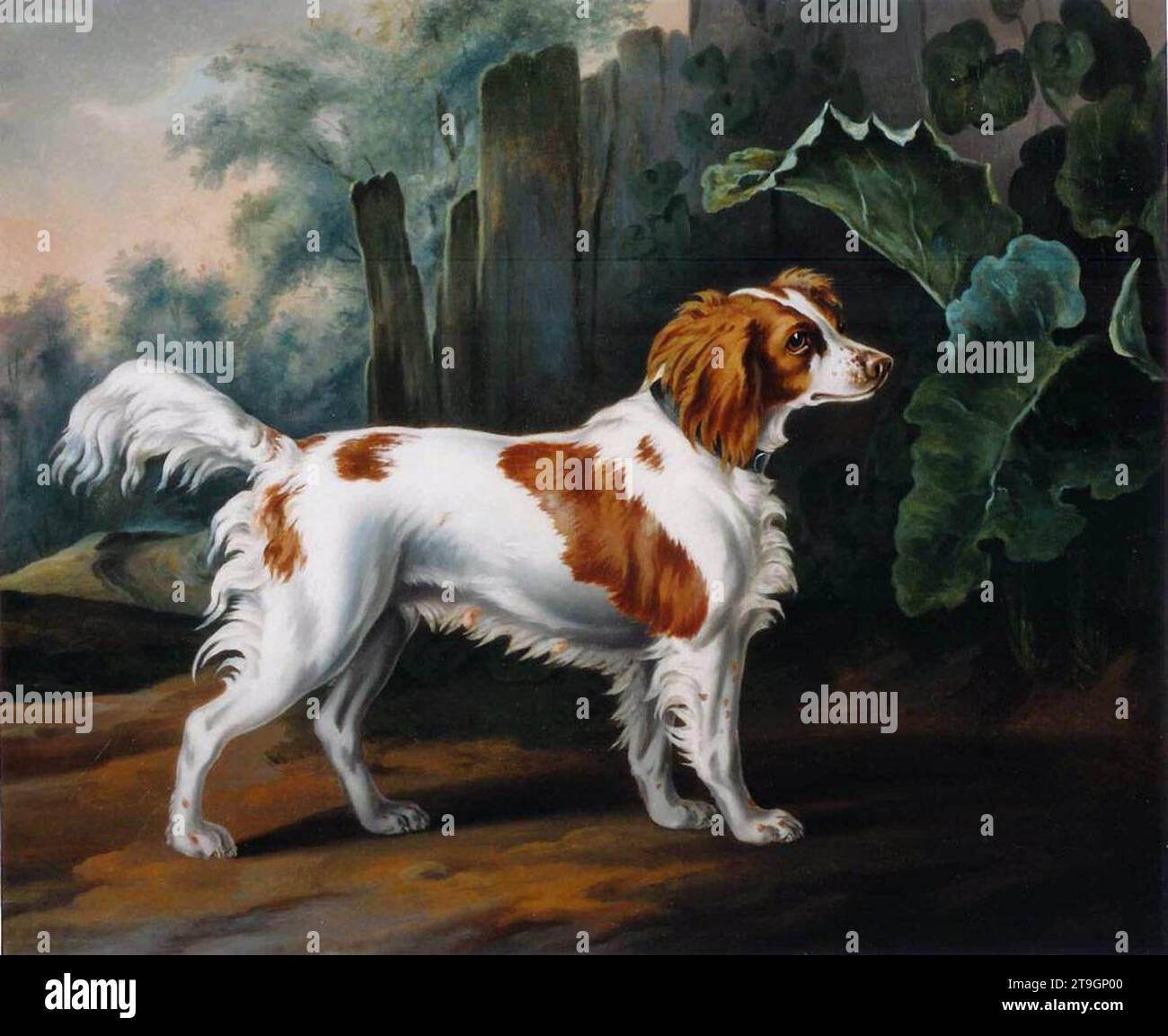 Thomas gooch hi-res stock photography and images - Alamy