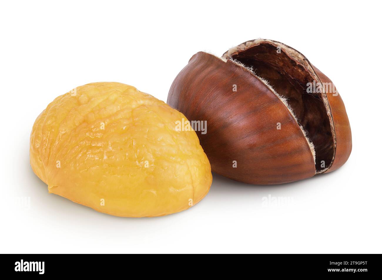 roasted peeled chestnut isolated on white background wit full depth of ...