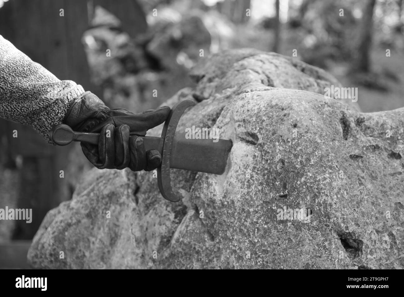 hand with glove of the knight trying to extract the mythical sword in ...