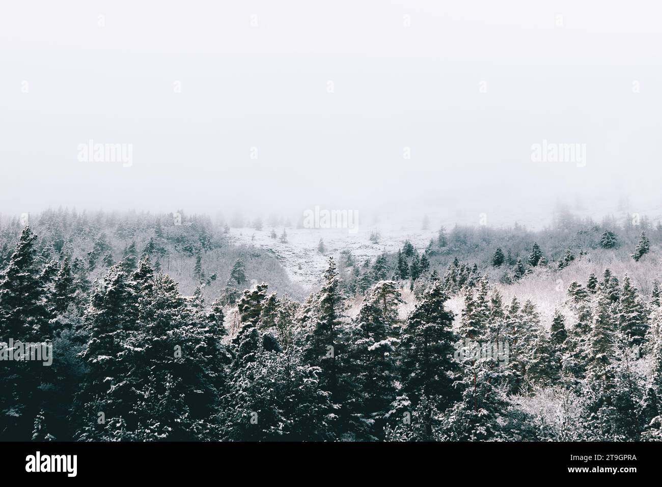 Fog and snowy conditions in the top of a mountain Stock Photo - Alamy