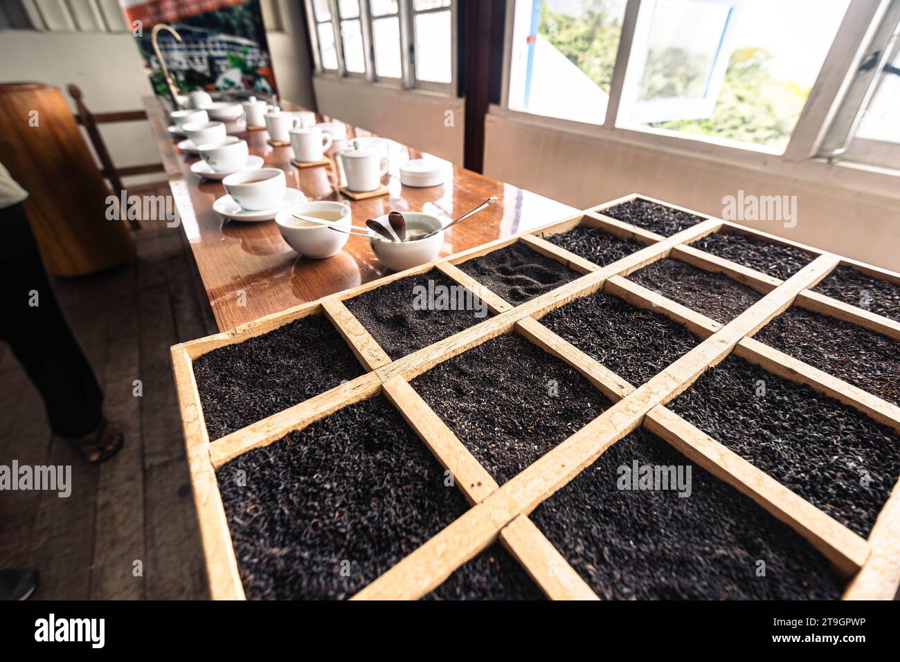 A tray with different gradings of tea at a local tea plantation in the ...