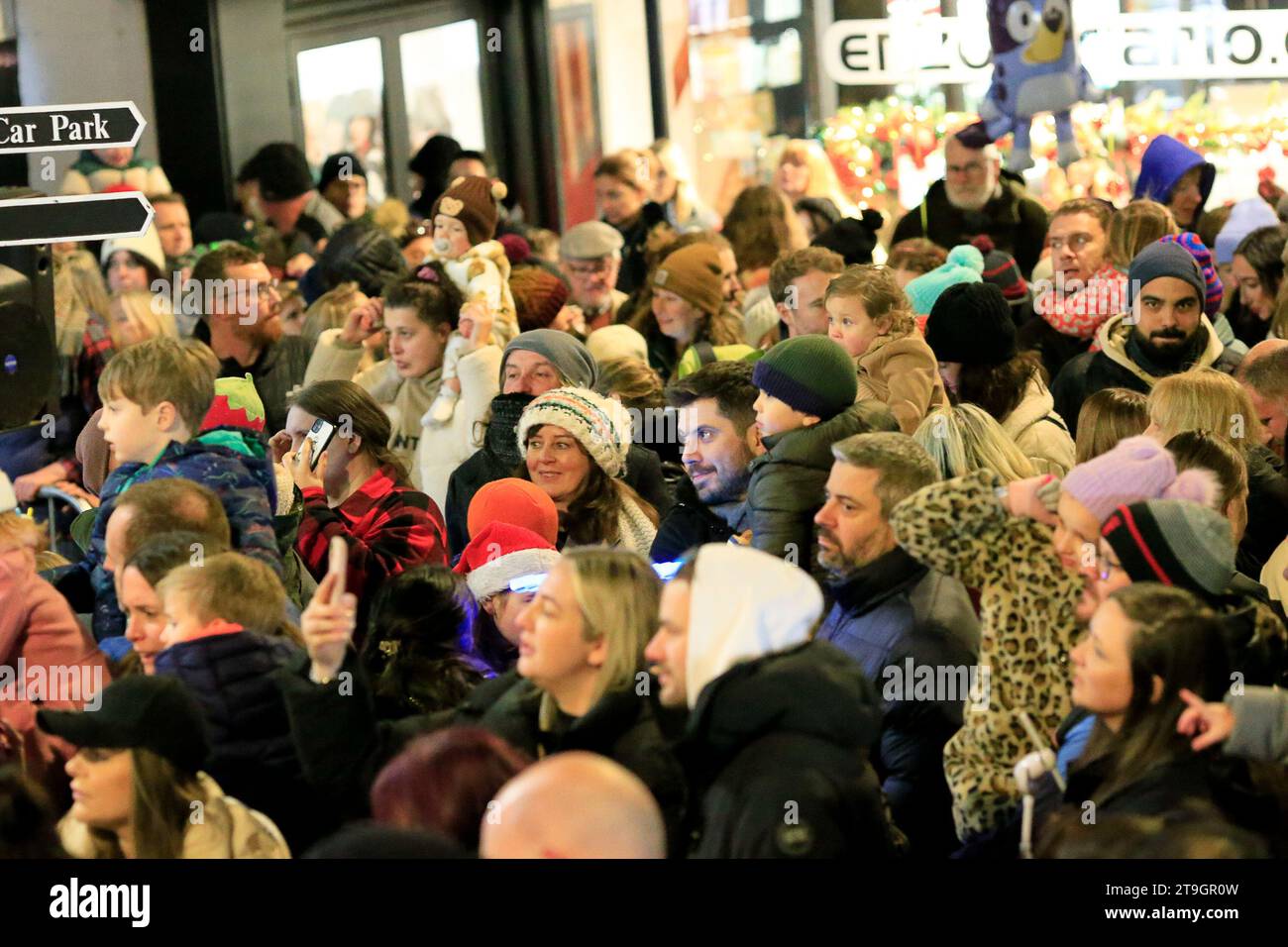 Bluey the dog hi-res stock photography and images - Alamy