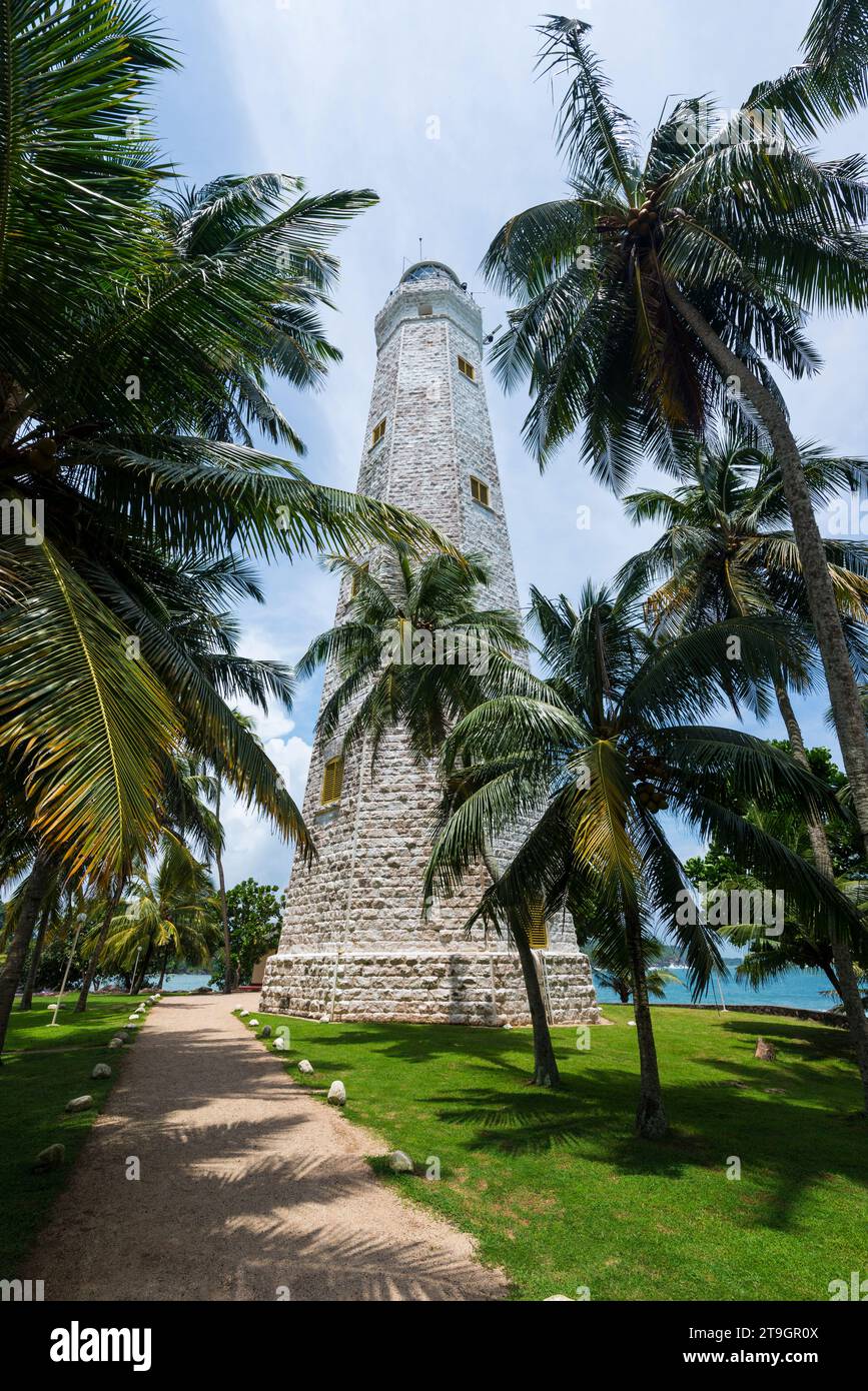 The disused Dondra lighthouse among the palm trees on the south coast ...