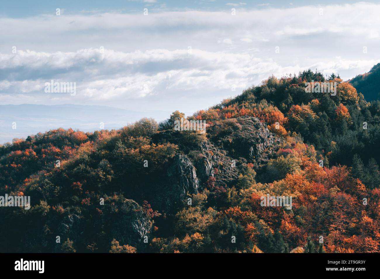 Beautiful landscape of a rocks and a lot of vibrant trees with cloudy ...