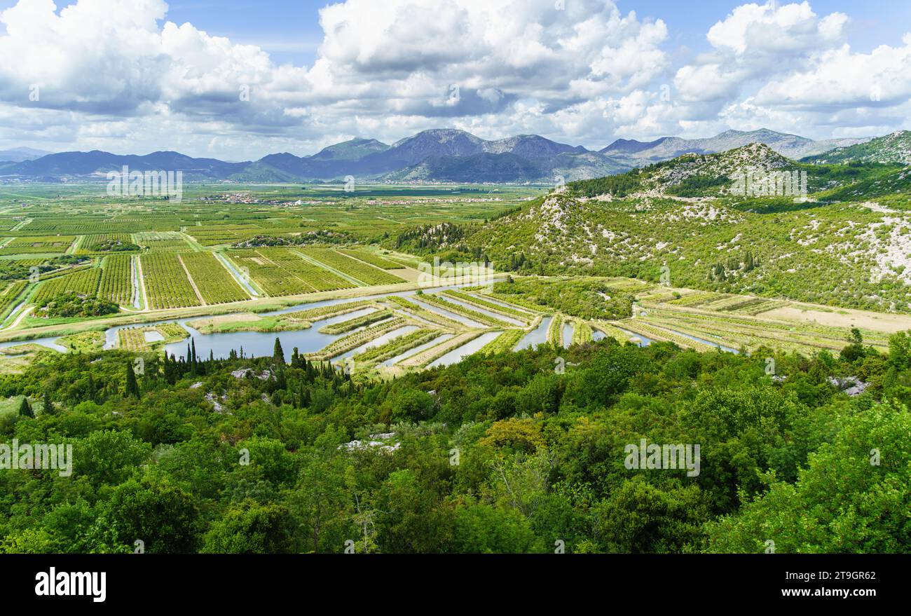 Aerial view of beautiful fertile Neretva valley surrounded by mountains ...