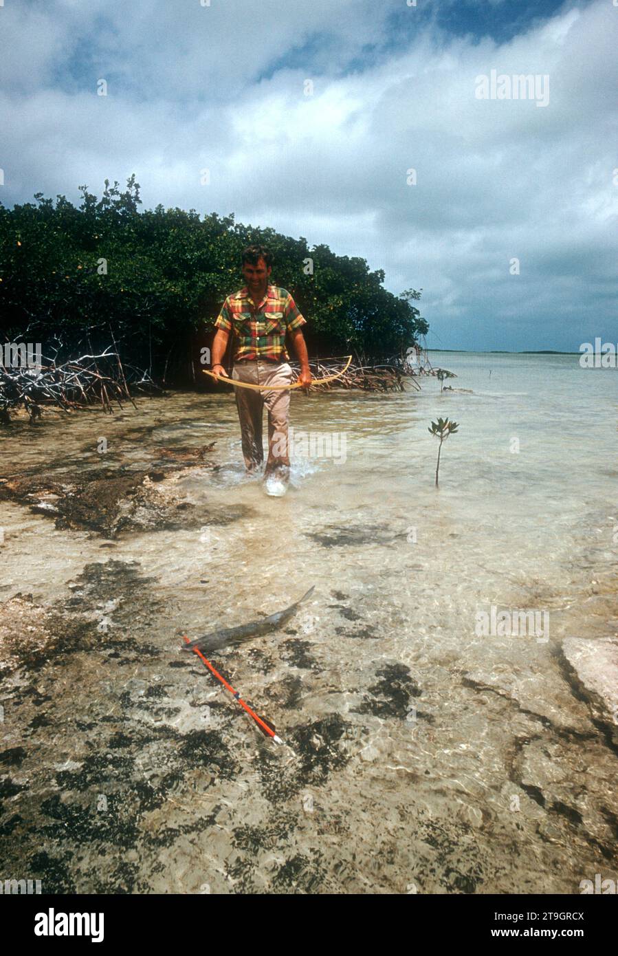 BAHAMAS - APRIL 7: Colyn Rees walks to retrieve the fish he shot with ...