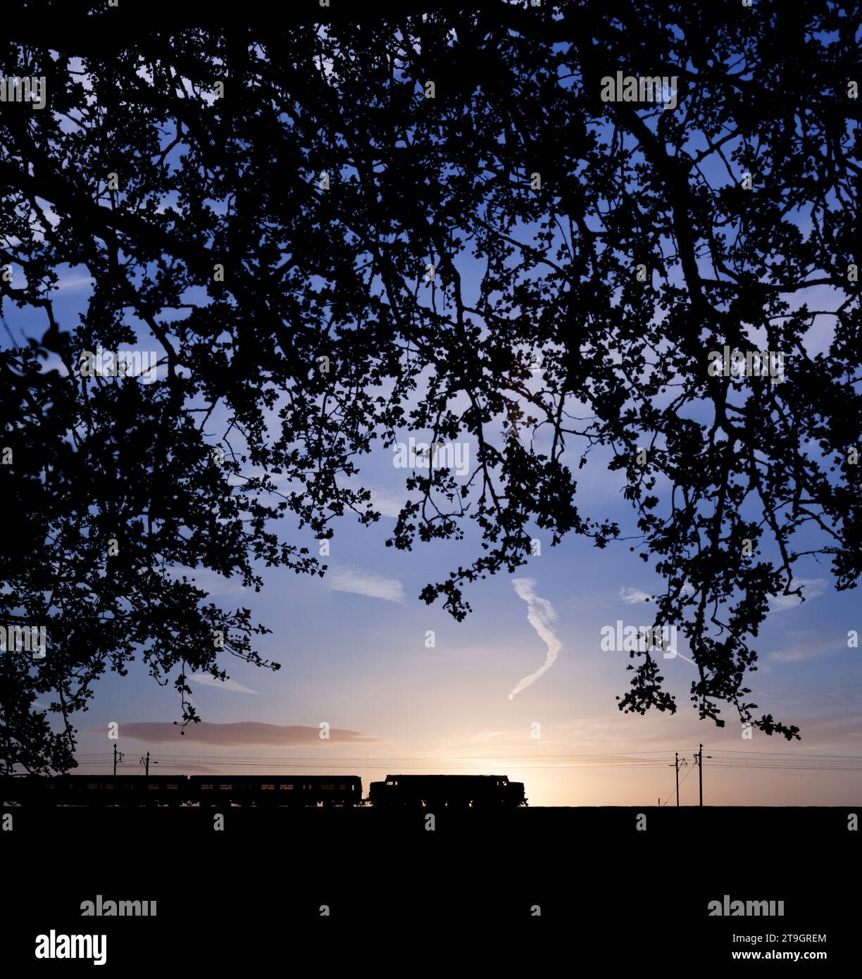 Rail Operations Group class 37 diesel locomotive on the west coast ...