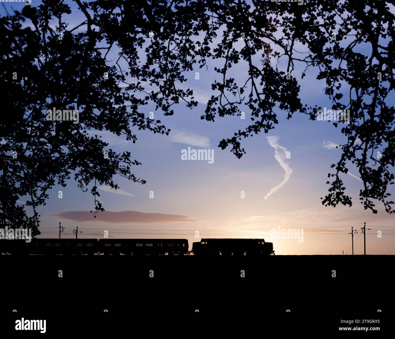 Rail Operations Group class 37 diesel locomotive on the west coast ...