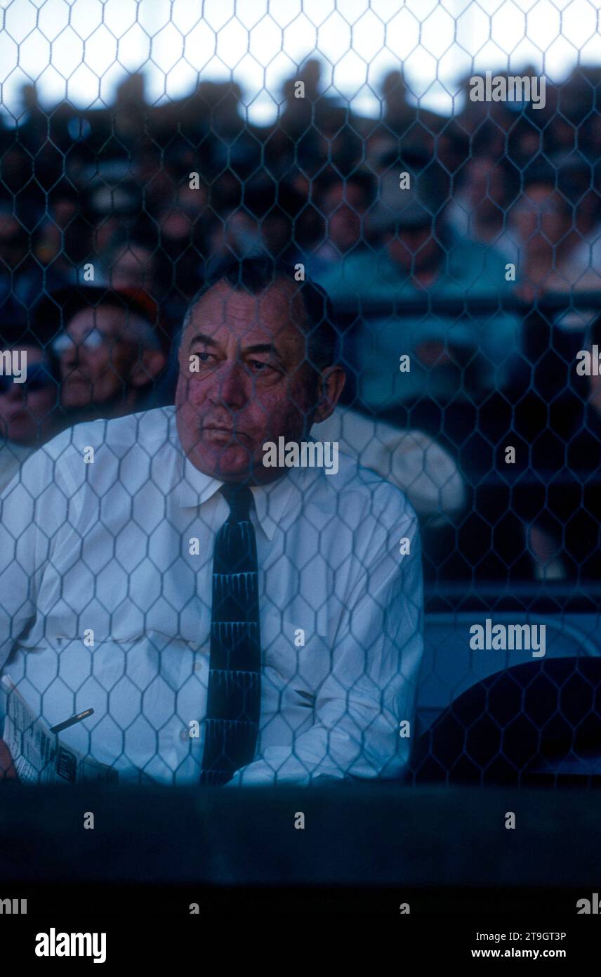 ST. PETERSBURG, FL - MARCH, 1956: General manager George Weiss of the ...