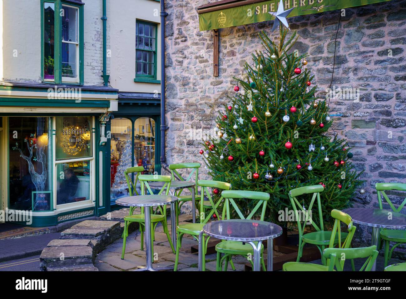 Christmas tree and books hi-res stock photography and images - Alamy
