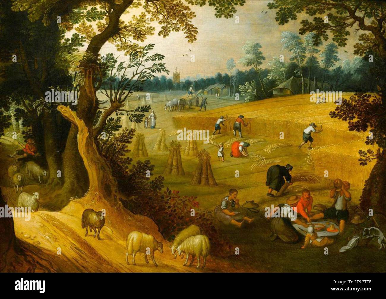 Summer abel grimmer hi-res stock photography and images - Alamy