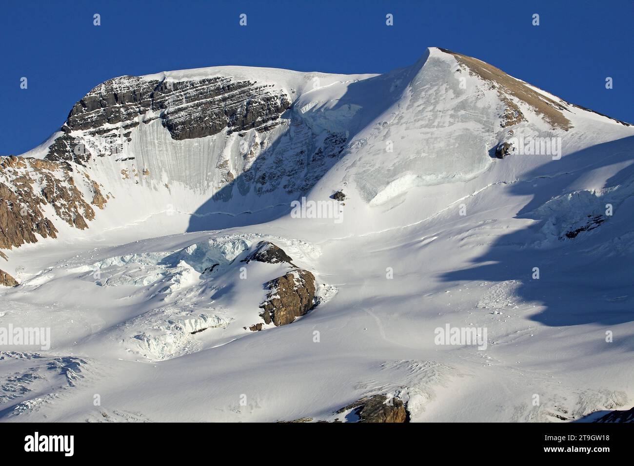 Mount Athabasca - Jasper National Park, Canada Stock Photo - Alamy