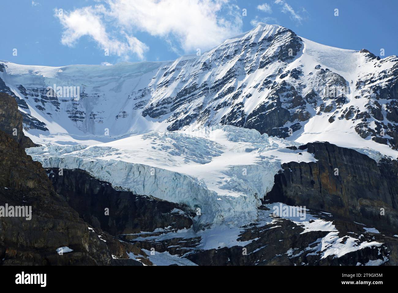 Mount Athabasca glacier - Jasper National Park, Canada Stock Photo - Alamy