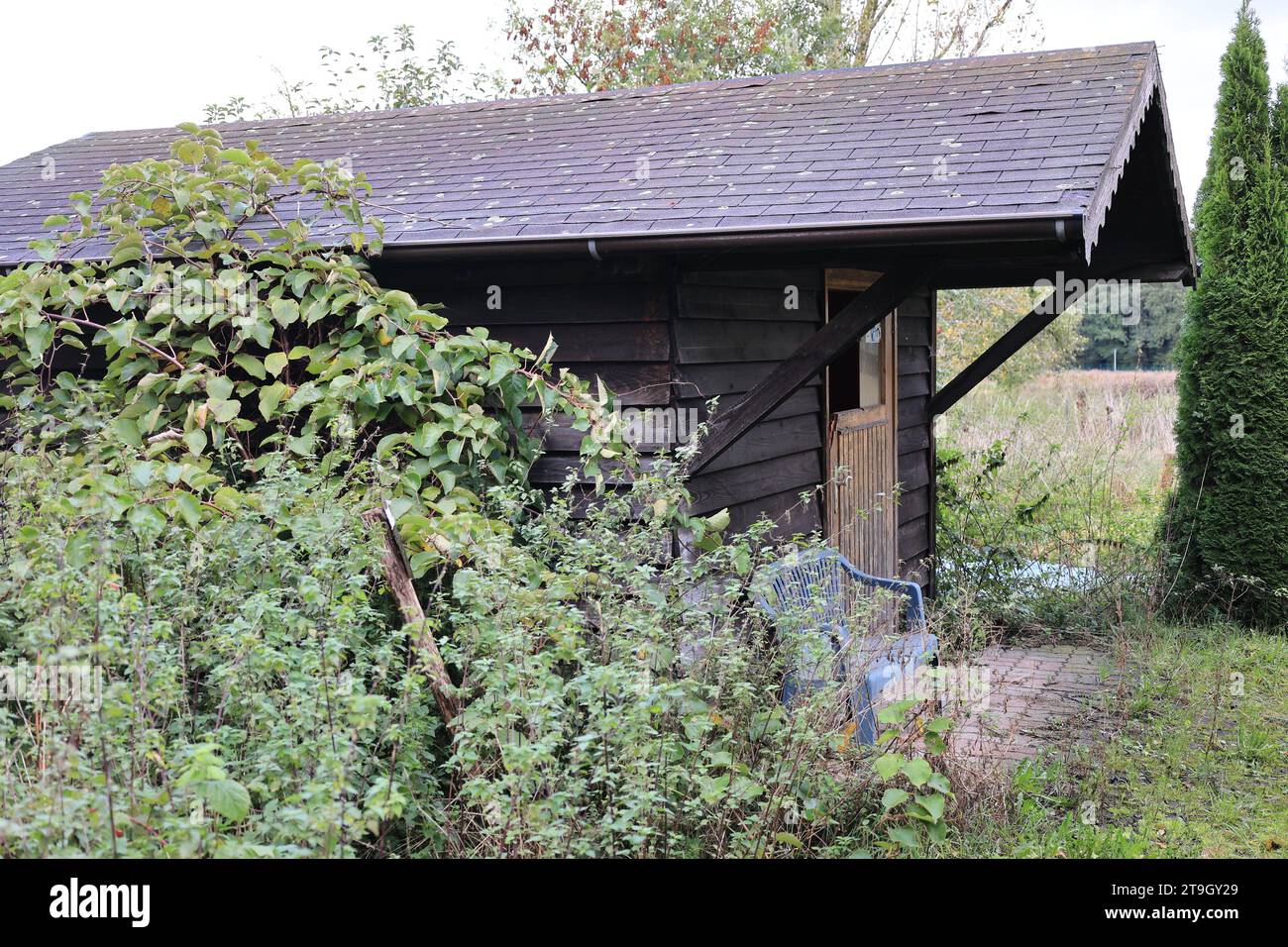 Verlassener stall hi-res stock photography and images - Alamy