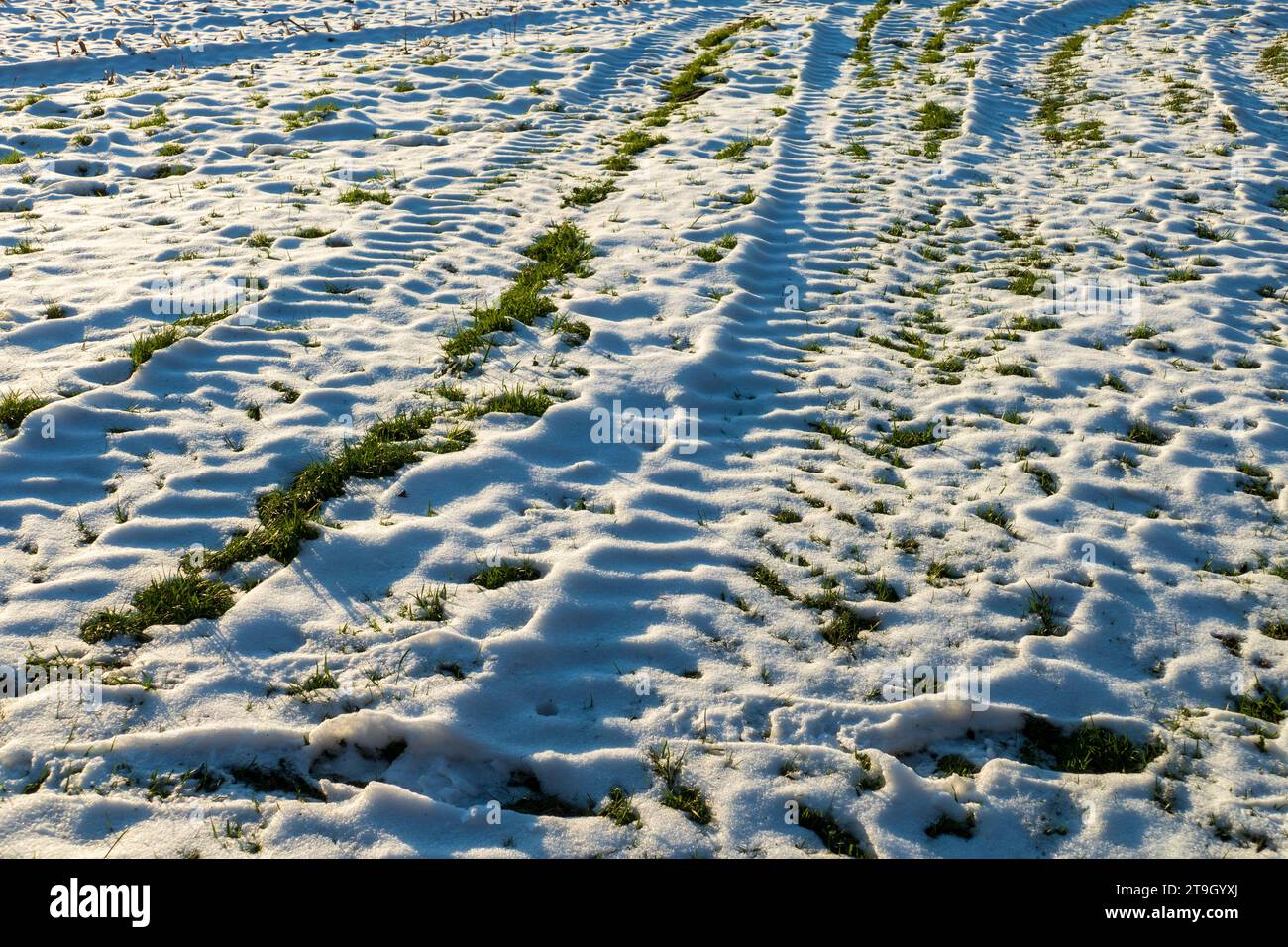 Weihnachtsmann transportieren hi-res stock photography and images - Alamy