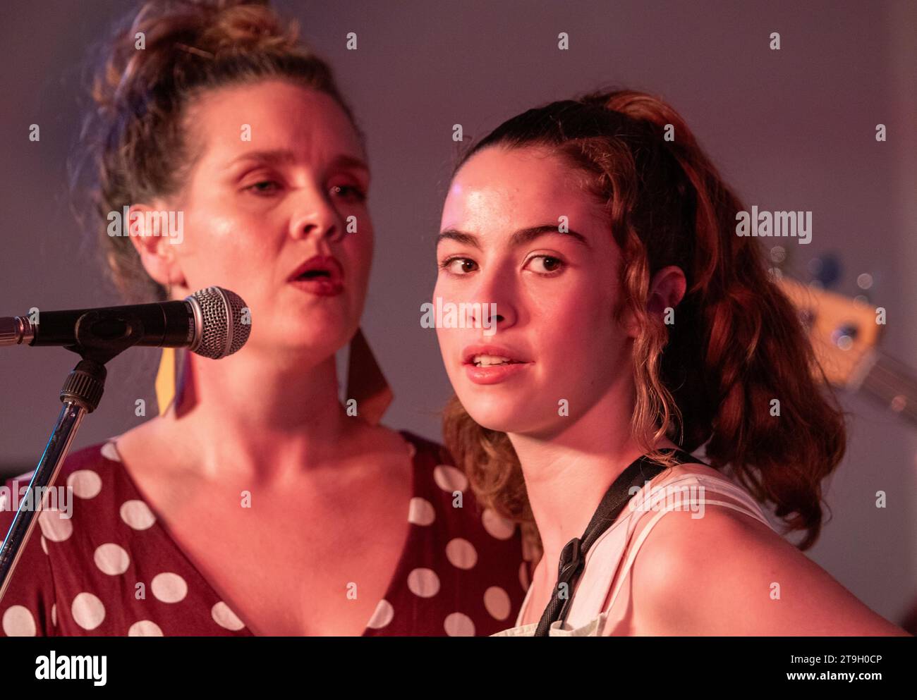 Family reunion extended hi-res stock photography and images - Alamy