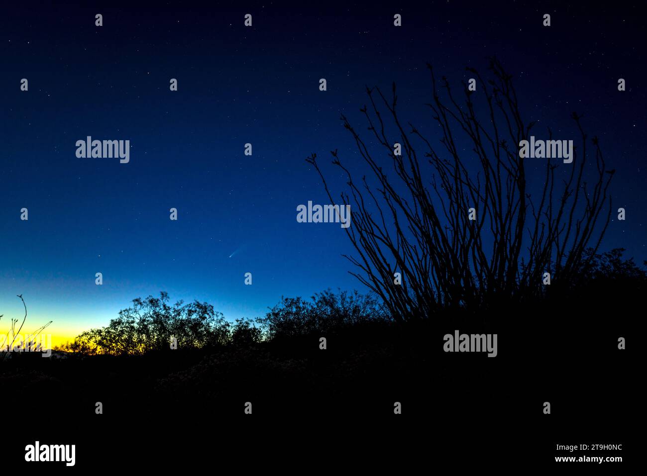 Arizona desert at night sky hi-res stock photography and images - Alamy