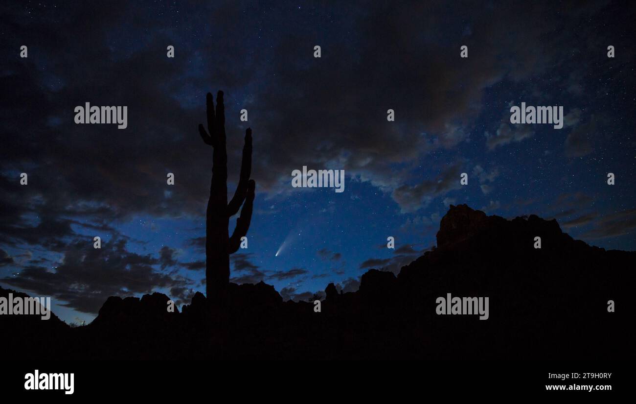 Comet NEOWISE sets in the western sky at twilight blue hour with ...