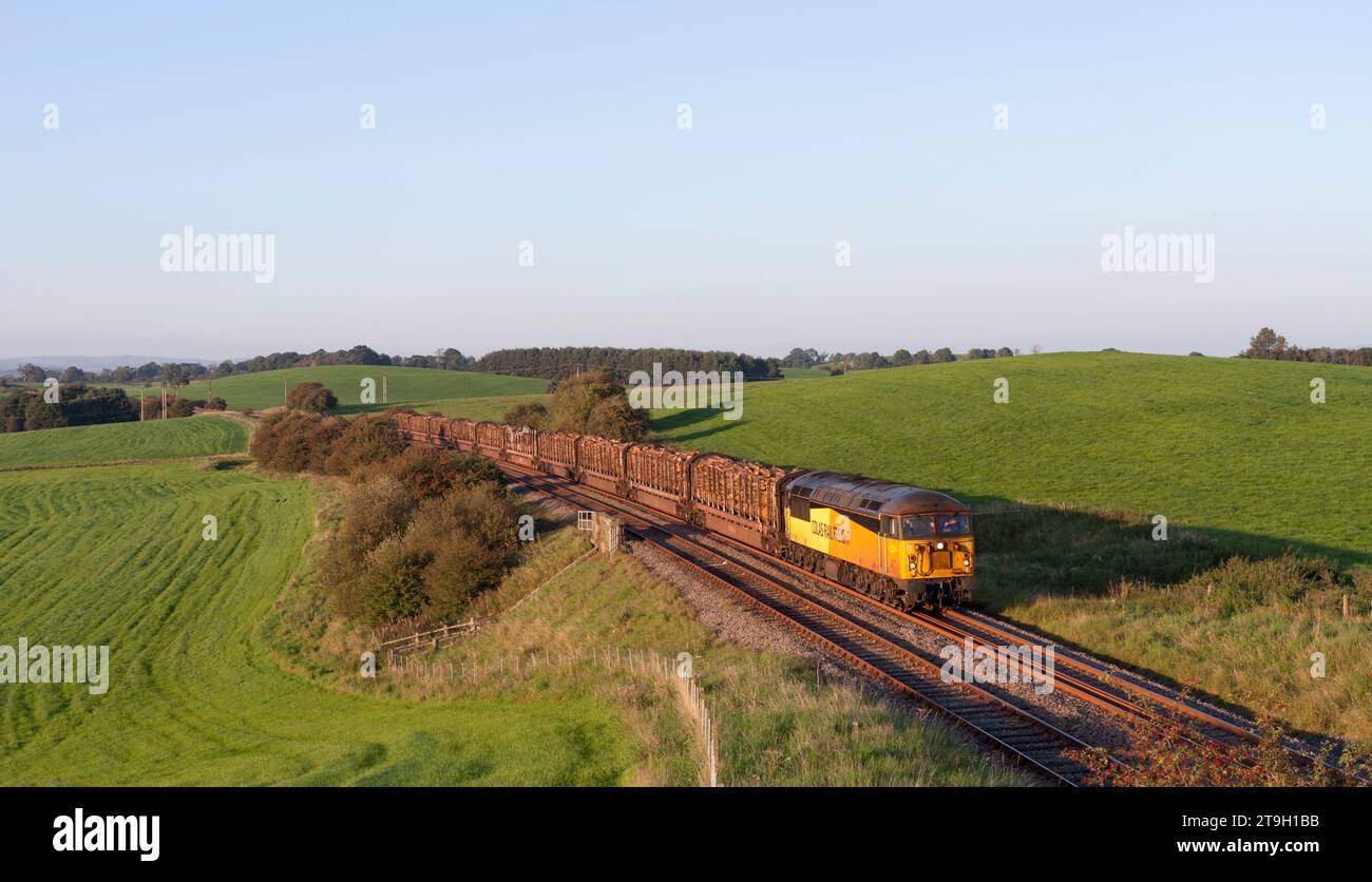 A Colas rail Freight class 56 locomotive at Newsholme, Lancashire with ...