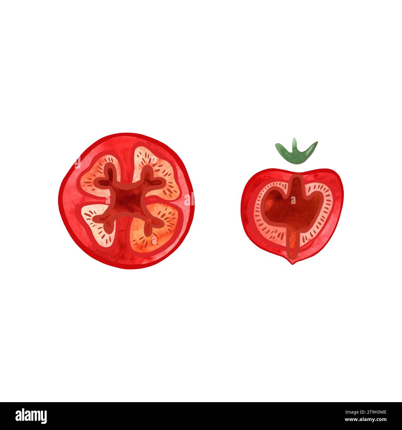 Tomato slices. Pizza topping. Isolated watercolor illustration on white ...